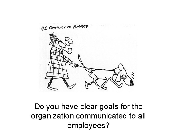 Dr W Edwards Demings 14 Points Cartoons by