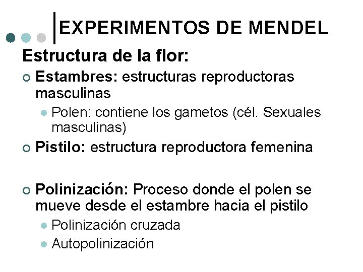 LA GENETICA BASICA Experimentos de Mendel Principios de