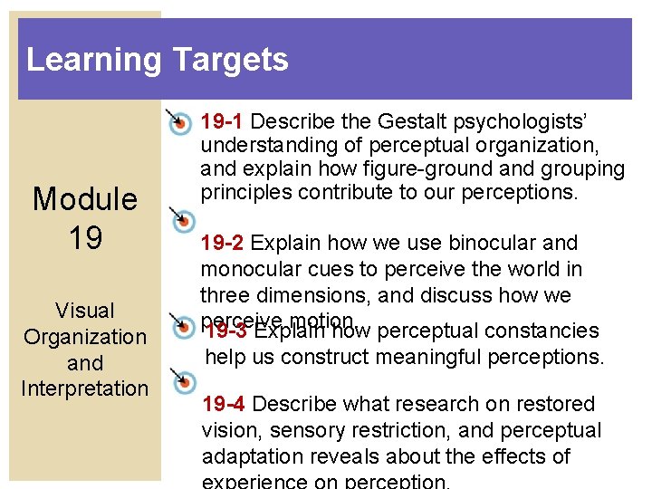 Learning Targets Module 19 Visual Organization and Interpretation
