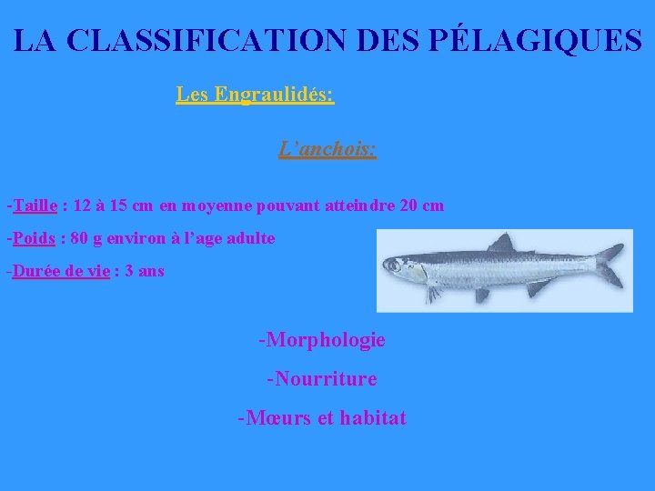 LES PLAGIQUES GENERALITES SUR LES POISSONS PELAGIQUES LE