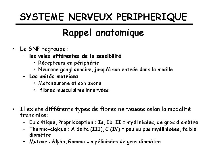 PATHOLOGIE DU NERF PERIPHERIQUE IFSI nov 2009 Service