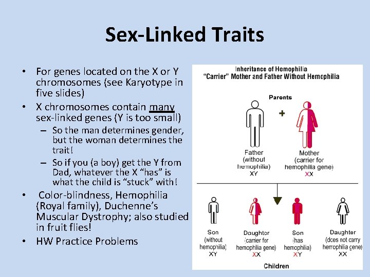 Chapter 14 Inheritance and Disorders Complex Patterns of