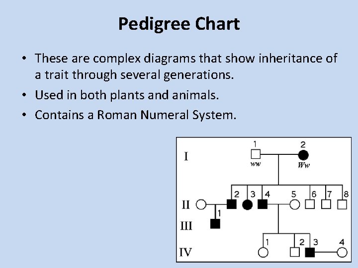 Chapter 14 Inheritance and Disorders Complex Patterns of