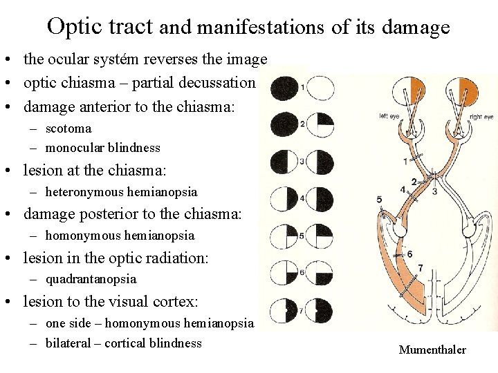 Cranial nerves provide motor and sensory innervation for