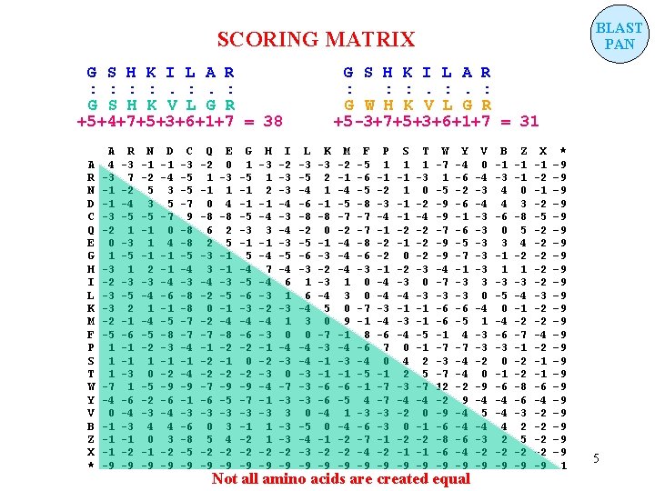 BLAST PAN A Webbased Tool for Visual Identification