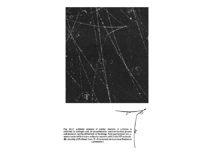 Classification of the Elementary Particles Hyperons Classification of