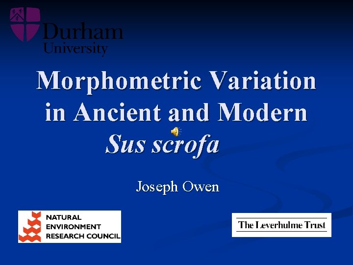 Morphometric Variation in Ancient and Modern Sus scrofa