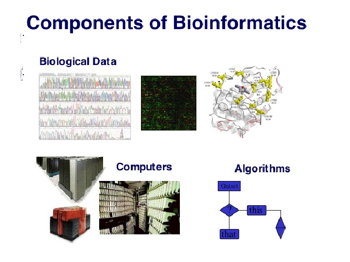 Bioinformatika Pengenalan Bioinformatika Contents Sejarah
