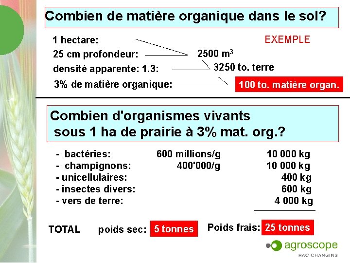 Carbone du sol et cycles biogochimiques Recommandations et