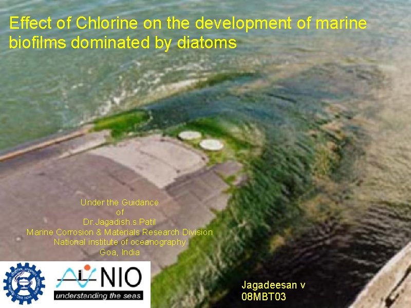Effect of Chlorine on the development of marine