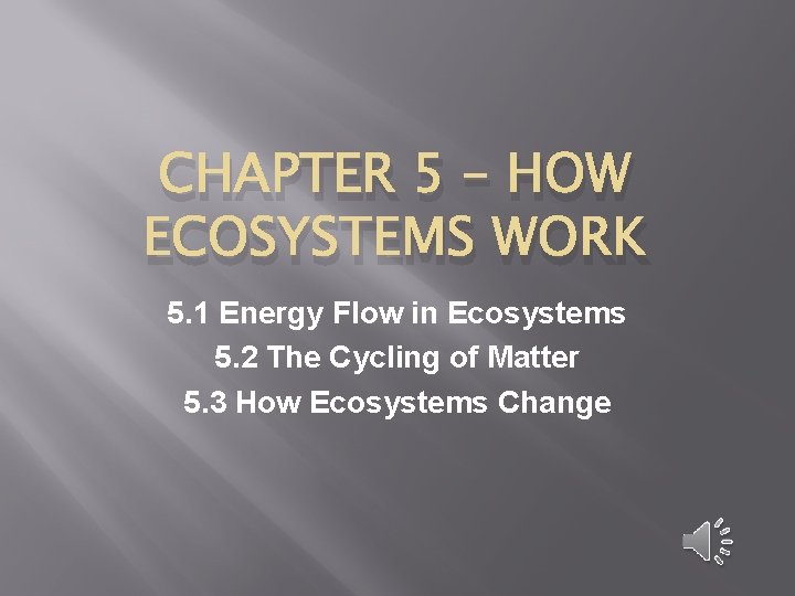 CHAPTER 5 HOW ECOSYSTEMS WORK 5 1 Energy