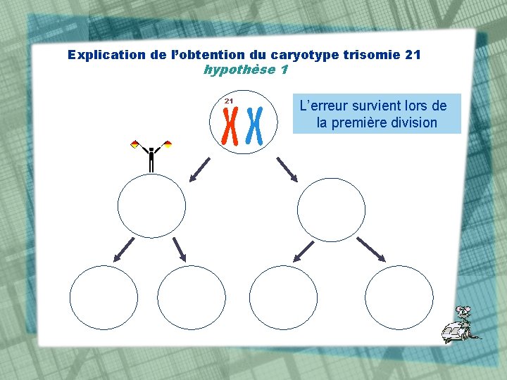 Des anomalies du nombre de chromosomes Le bon