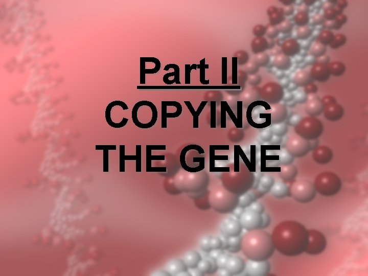 How does DNA instruct cells to make PROTEINS