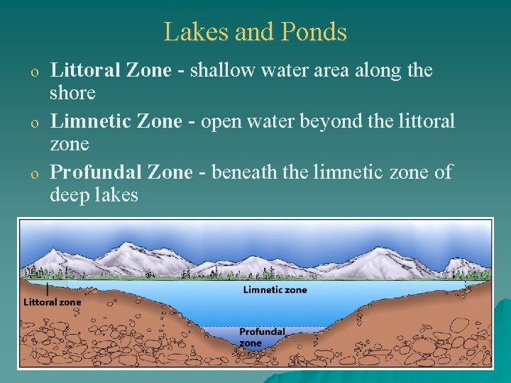 Chapter 6 Major EcosystemsBiomes of the World Overview