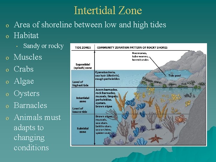Chapter 6 Major EcosystemsBiomes of the World Overview