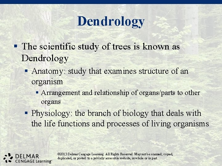 Section 6 Dendrology The Scientific Study of Trees