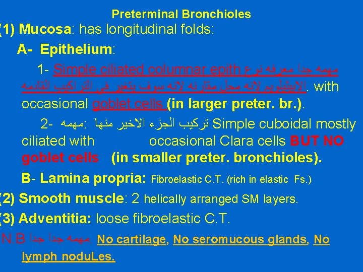 RESPIRATORY SYSTEM II EXTRAPULMONARY BRONCHUS primry BRONCHUS Generally