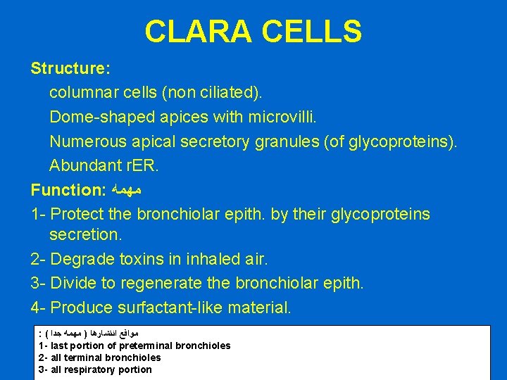 RESPIRATORY SYSTEM II EXTRAPULMONARY BRONCHUS primry BRONCHUS Generally