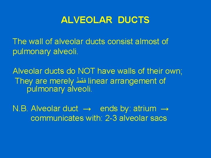 RESPIRATORY SYSTEM II EXTRAPULMONARY BRONCHUS primry BRONCHUS Generally