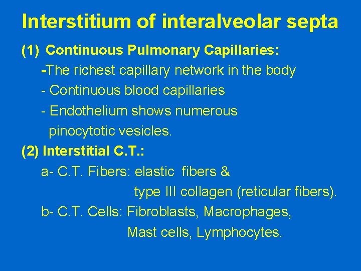RESPIRATORY SYSTEM II EXTRAPULMONARY BRONCHUS primry BRONCHUS Generally