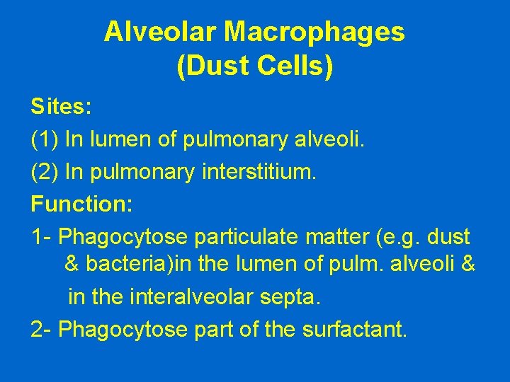 RESPIRATORY SYSTEM II EXTRAPULMONARY BRONCHUS primry BRONCHUS Generally