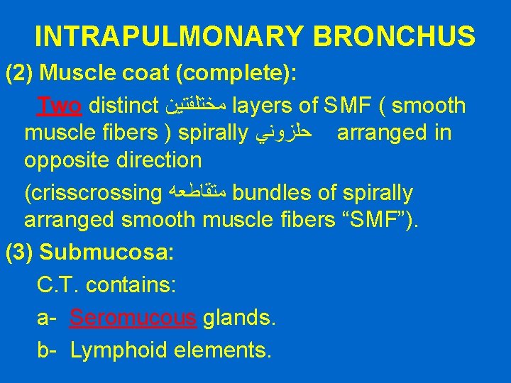 RESPIRATORY SYSTEM II EXTRAPULMONARY BRONCHUS primry BRONCHUS Generally