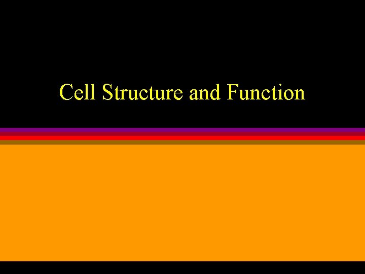 Cell Structure and Function Cell Structure and Function