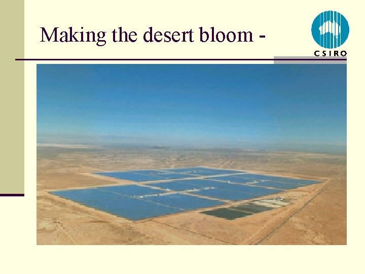 Cylindrical Reflector SKA Update John Bunton CSIRO Telecommunications