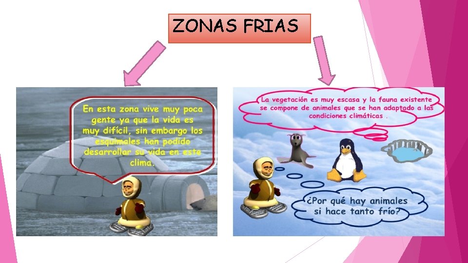 ZONAS CLIMTICAS DE A TIERRA FRIAS Y TEMPLADAS
