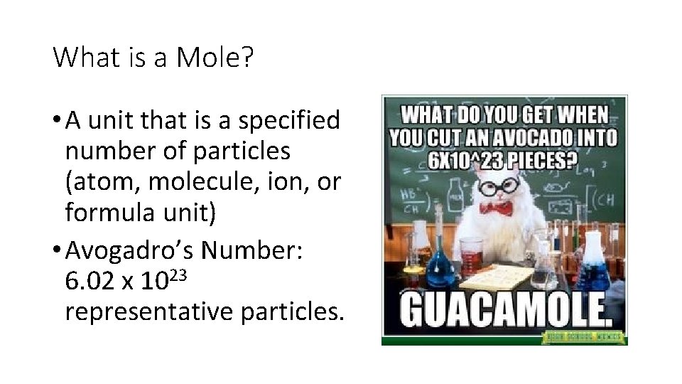The Mole Chapter 10 What is a Mole