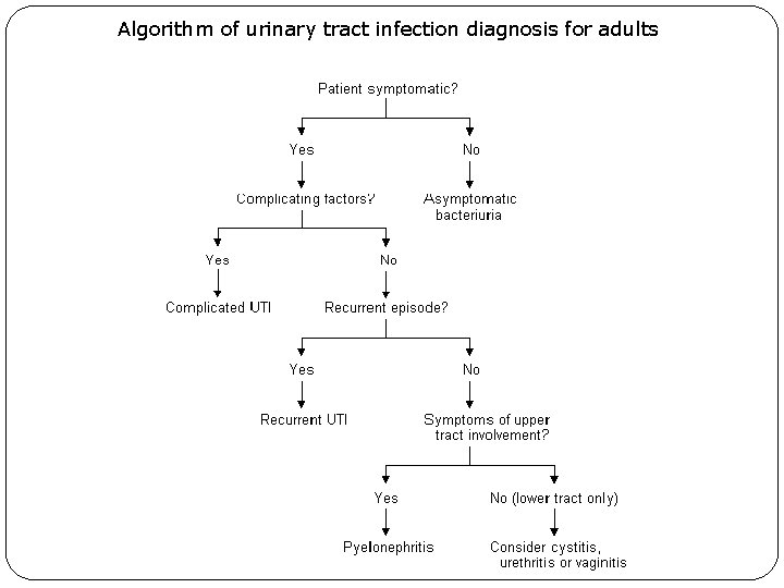 Urinary tract infections Background UTI is one of