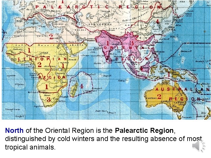 Tropical Asia an overview Part 1 Richard T