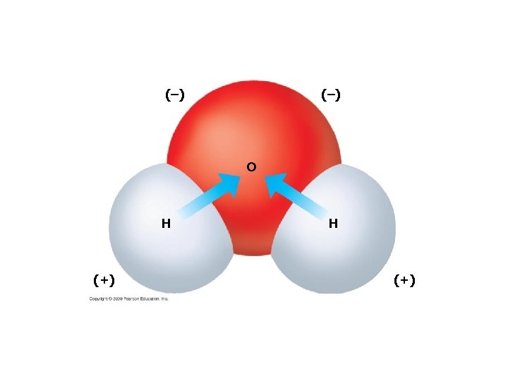 Water Water is a Polar Molecule What is