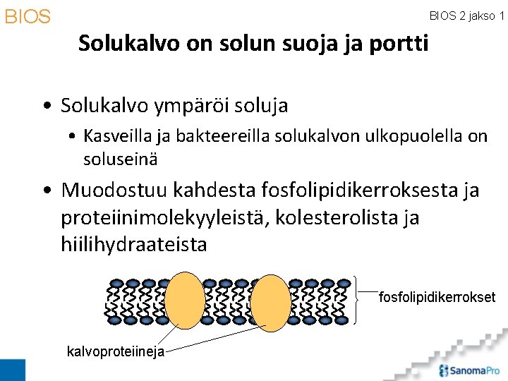 BIOS 2 jakso 1 3 Solu ottaa ja
