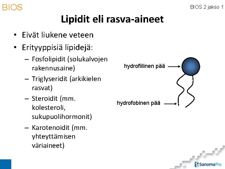 BIOS 2 jakso 1 3 Solu ottaa ja