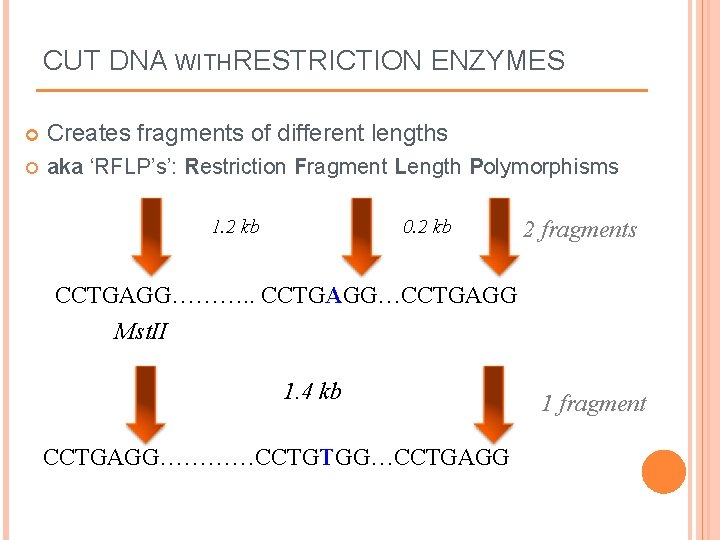 DNA TECNOLOGY AP Biology MANIPULATE DNA TO Createenhanced