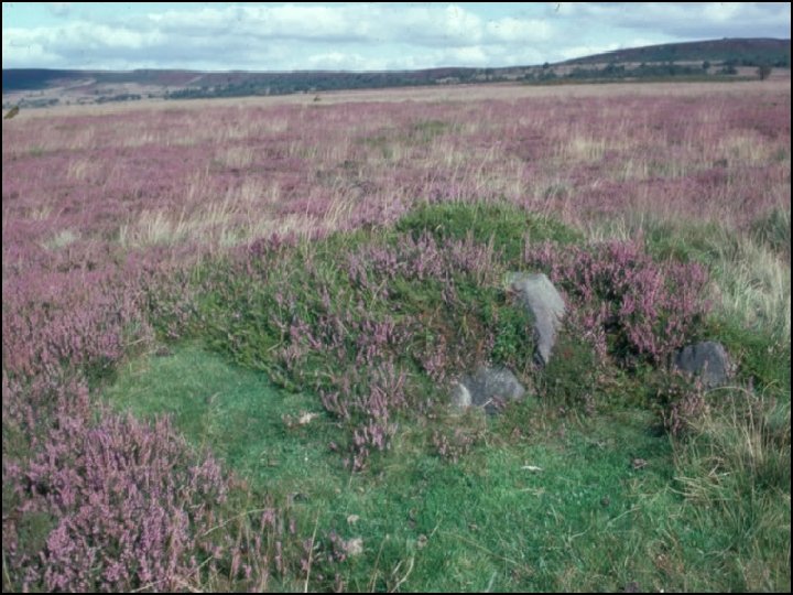 Macbeth Look at the following photographs and listen