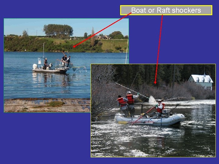 Introduction 1 Principles Techniques of Electrofishing Chapter Objectives