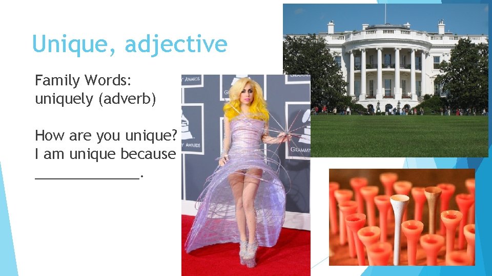 Unit 1 All About Me Essential Question Who