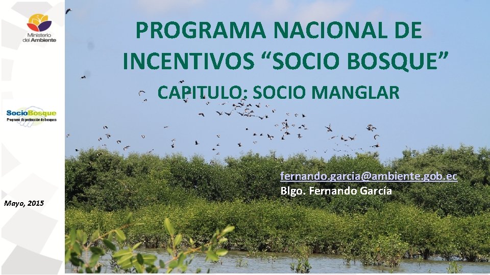 PROGRAMA NACIONAL DE INCENTIVOS SOCIO BOSQUE CAPITULO SOCIO