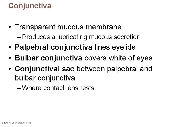 Anatomy of the Eye Dr Spandana Charles MD