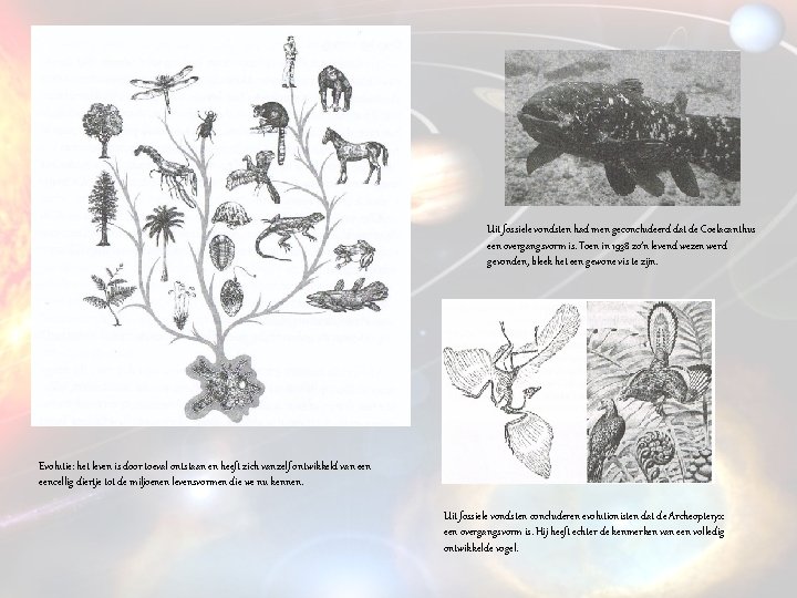 Schepping of Evolutie Inleiding Evolutietheorie Evolutie Charles Darwin
