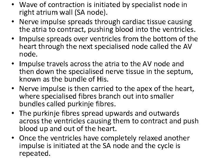Cardiovascular system at rest Learning Objectives 1 To