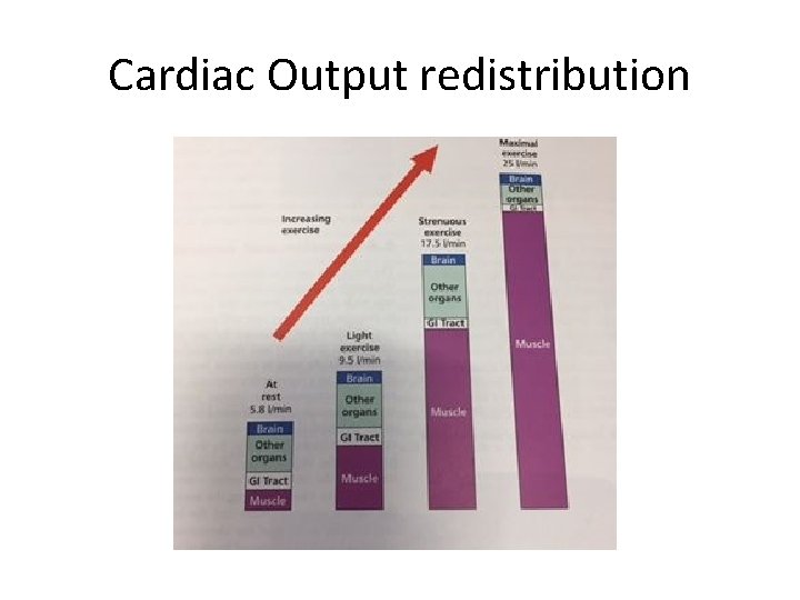 Cardiovascular system at rest Learning Objectives 1 To