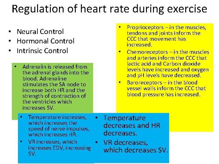 Cardiovascular system at rest Learning Objectives 1 To