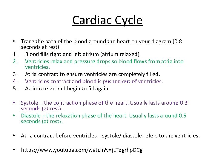 Cardiovascular system at rest Learning Objectives 1 To