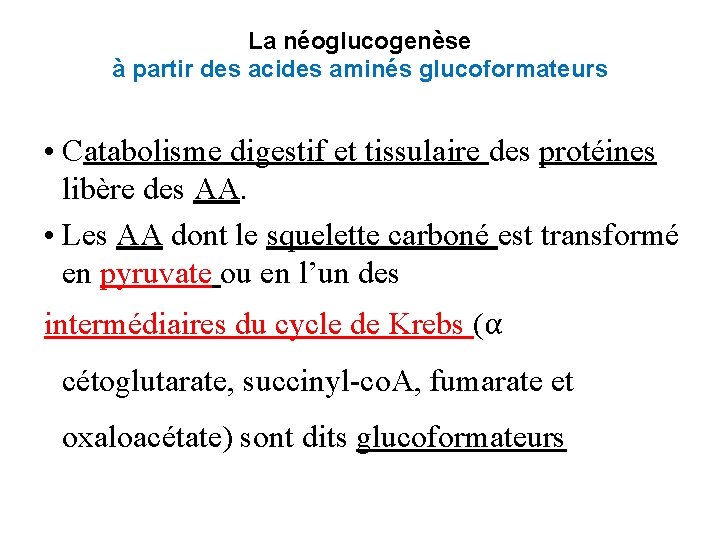La noglucogense 2me anne Mdecine 2015 2016 Biochimie