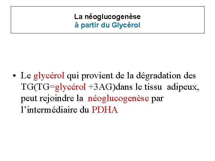 La noglucogense 2me anne Mdecine 2015 2016 Biochimie