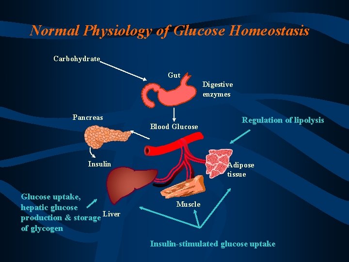 Introduction Pathophysiology of Diabetes Mellitus Treatment strategies ...