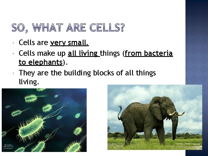 Cells Unit Biome Ecosystem Community Population Organism Organ